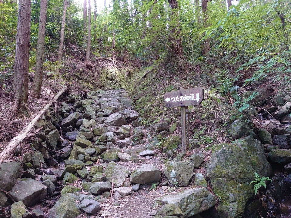 蔦の細道 | 【日本遺産】駿州の旅（静岡市・藤枝市） 弥次さん喜多さんと巡る東海道中膝栗毛